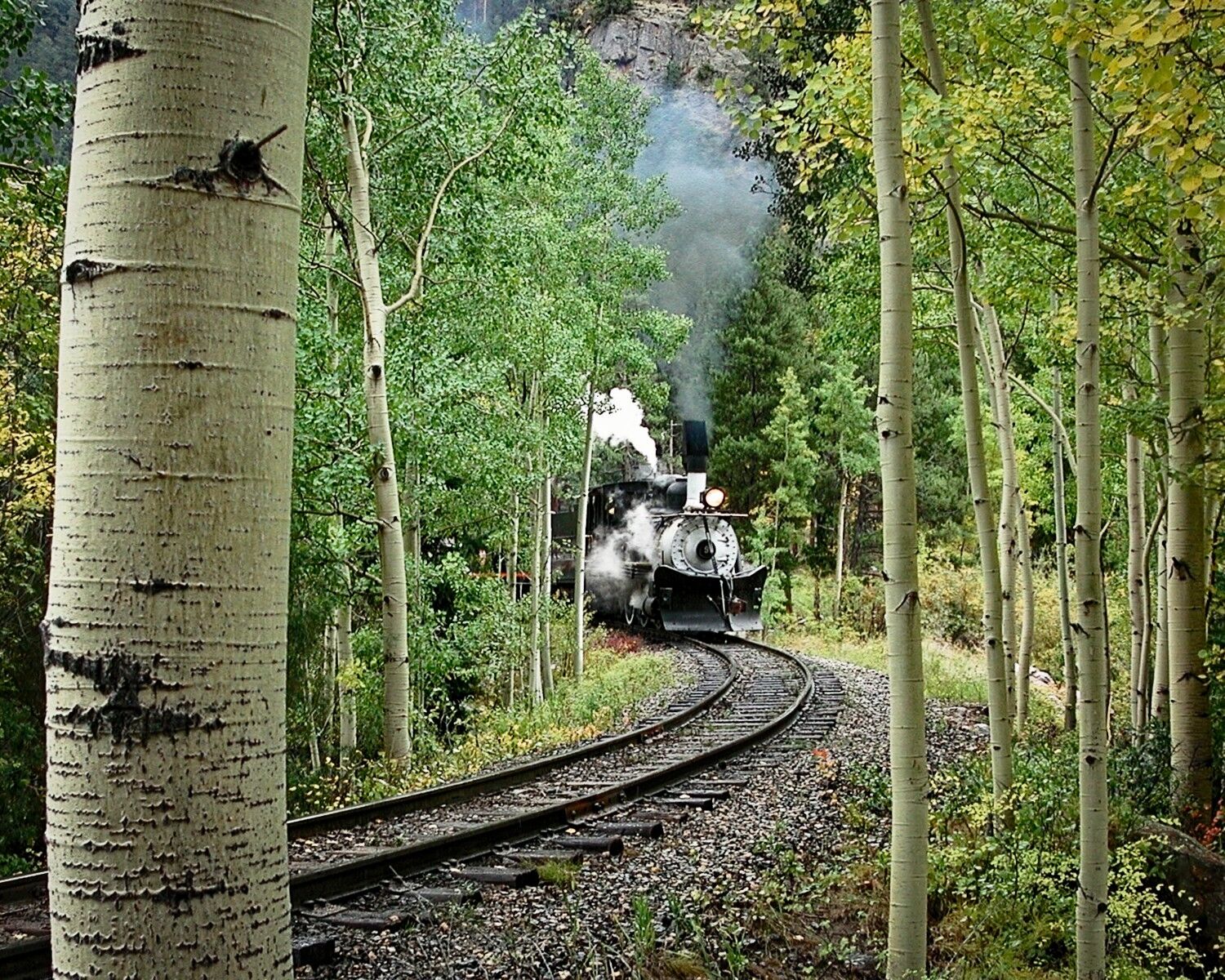 A Trip Throught The Forest | Georgetown Loop Railroad | Train Room ...