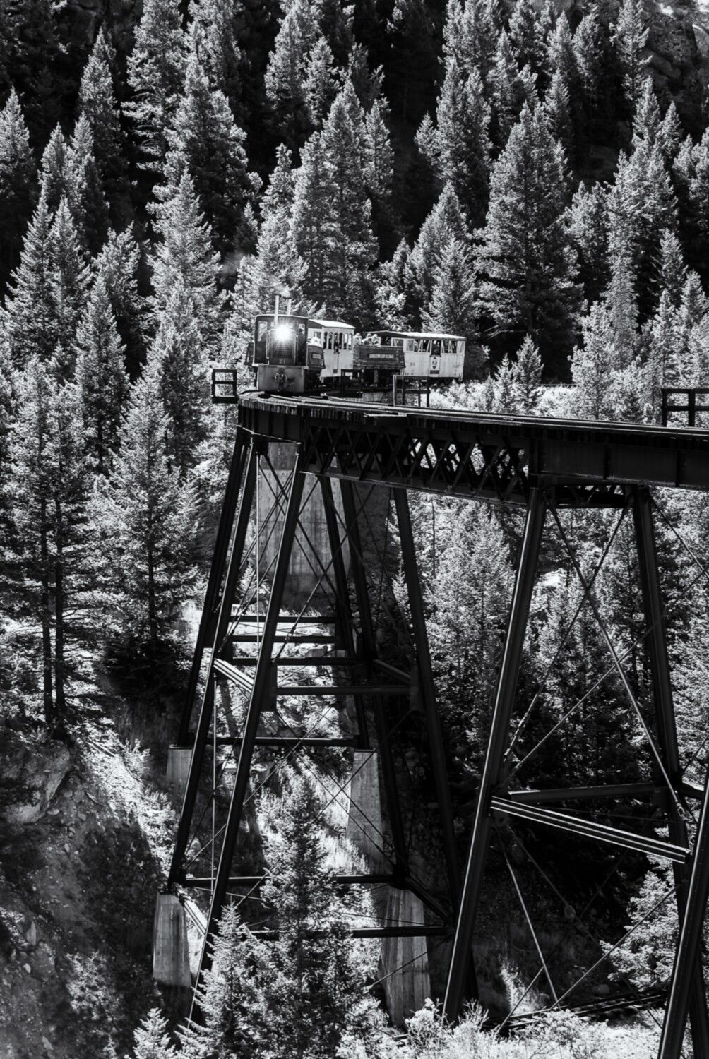 Devils Gate High Bridge | Georgetown Loop Railroad | Train Room Photography